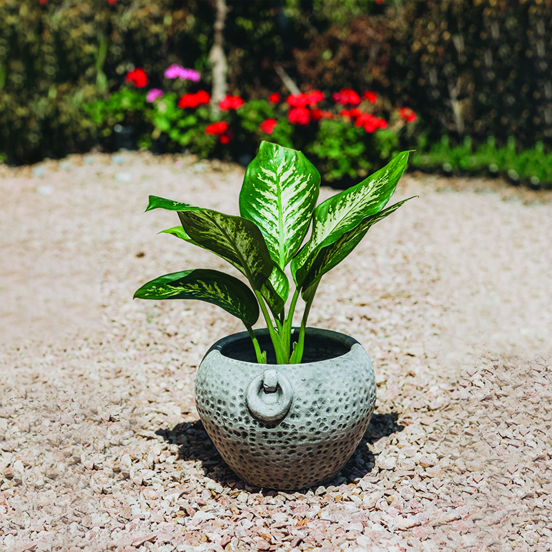Buy Decorated pots with hands - Gray colors online - Garden Hub