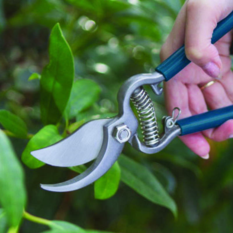 Buy Total Pruning Shears - 200 mm online - Garden Hub