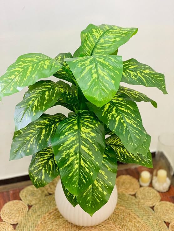 Buy Artificial Dieffenbachia Plant online - Garden Hub