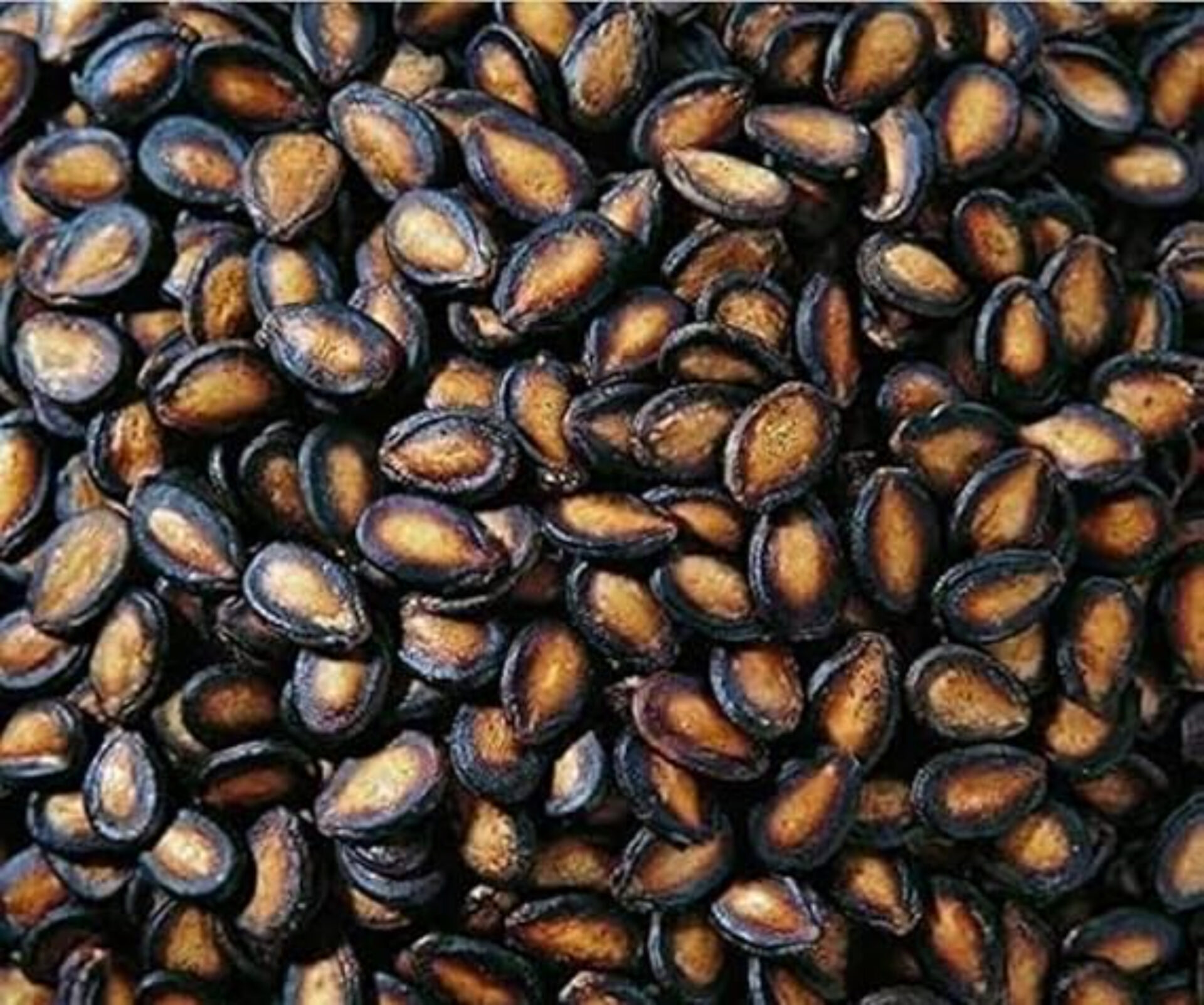 Buy Natural Watermelon Seeds online - Garden Hub